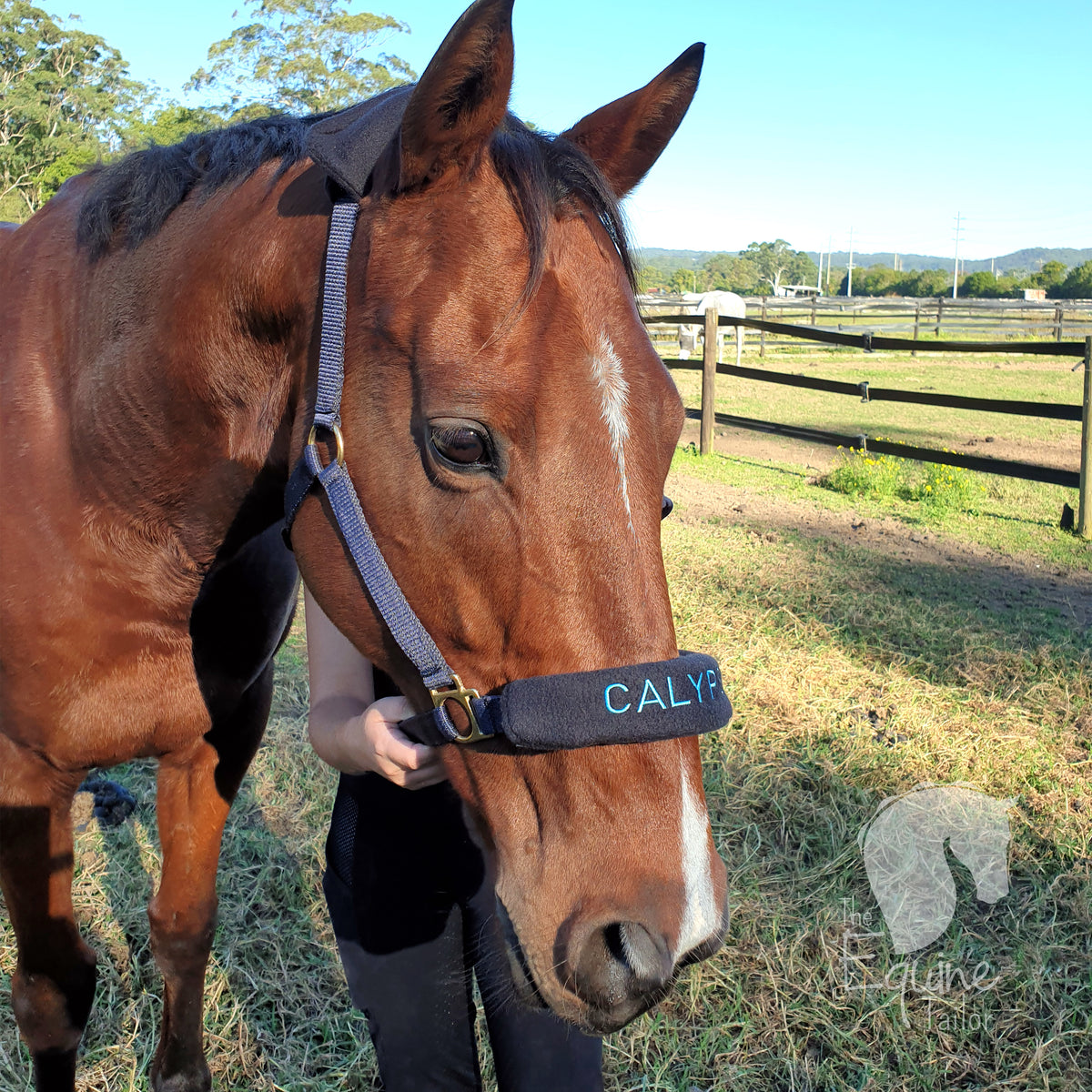 Embroidered Nosebands, Browband covers and Bit warmers – The Equine Tailor